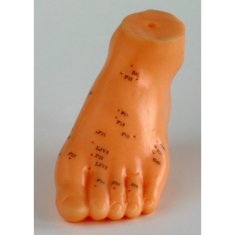 Foot model | Herbs & Touch