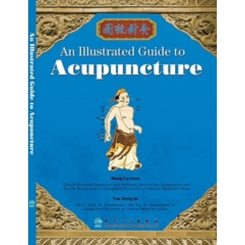An Illustrated Guide to Acupuncture | Herbs & Touch